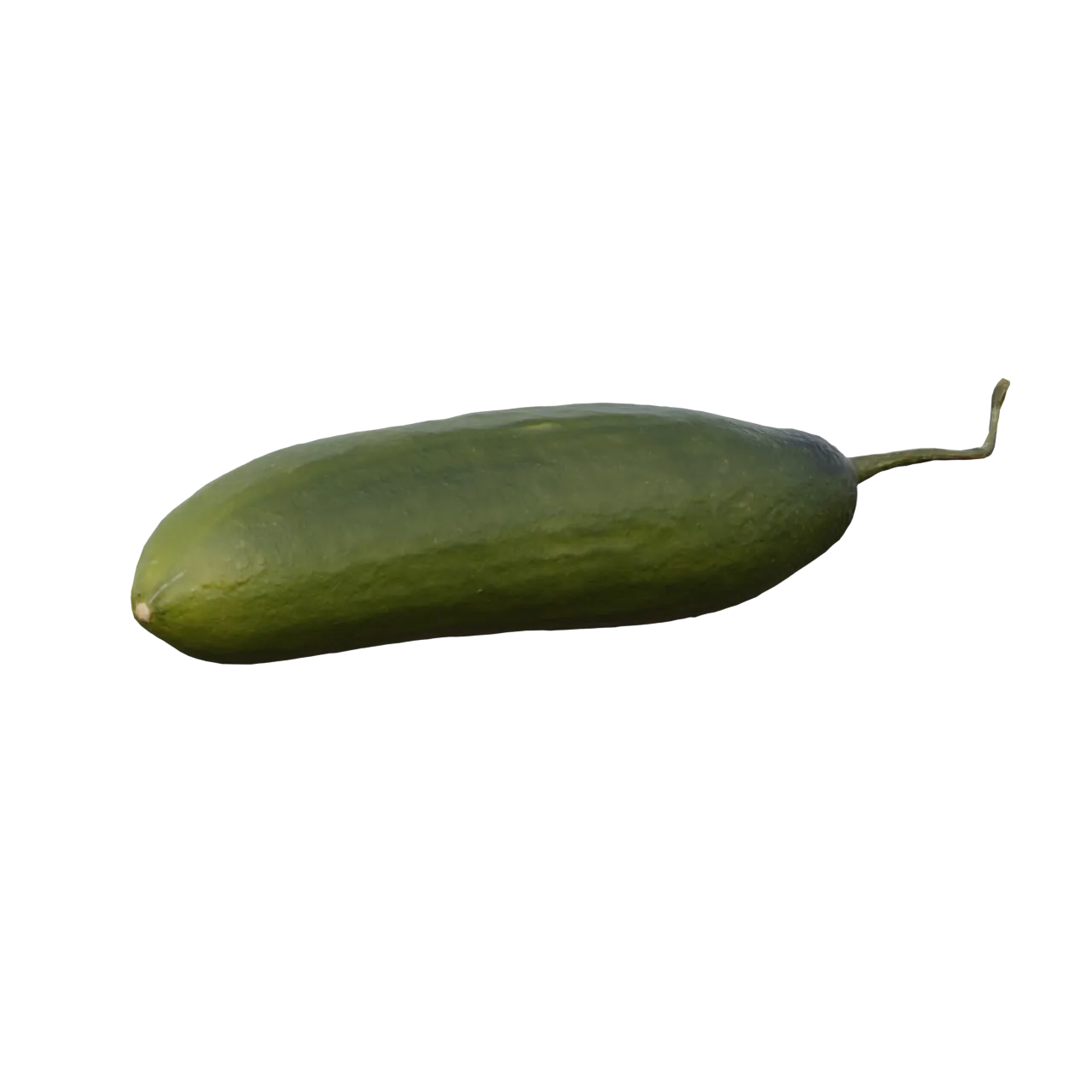 cucumber Textures & 3D Models